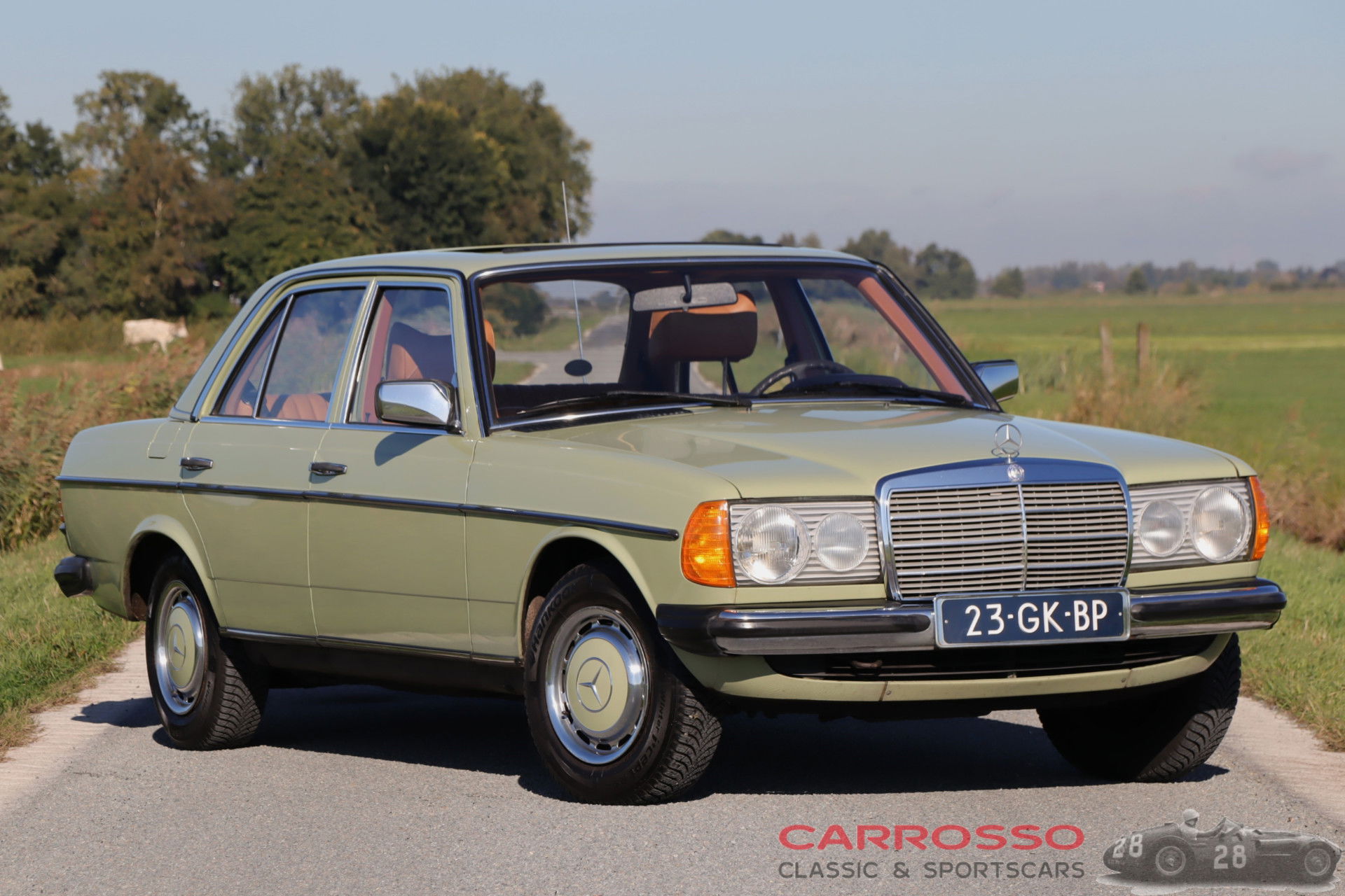 Mercedes-Benz 200-280 (W123) 250 – Carrosso